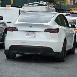 25 Cool, Funny, and Weird License Plates on the Road! | LookupAPlate