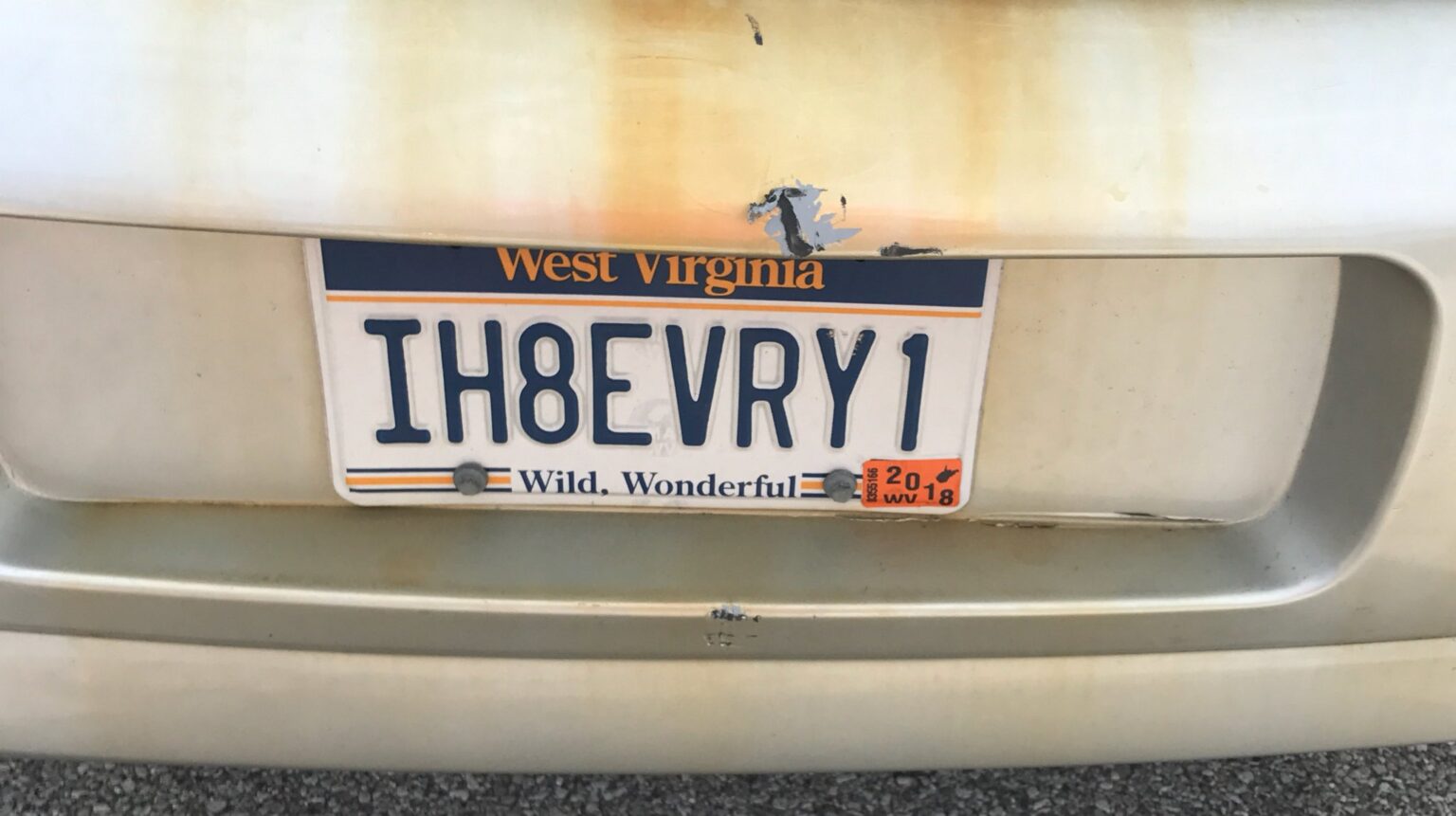 25 Cool, Funny, and Weird License Plates on the Road! | LookupAPlate